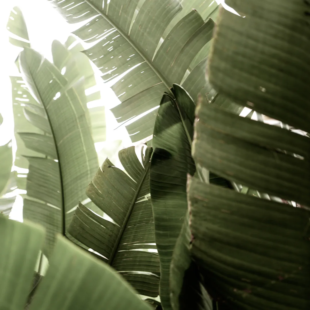 blogger4-instagram-pic1 – ProfHistória